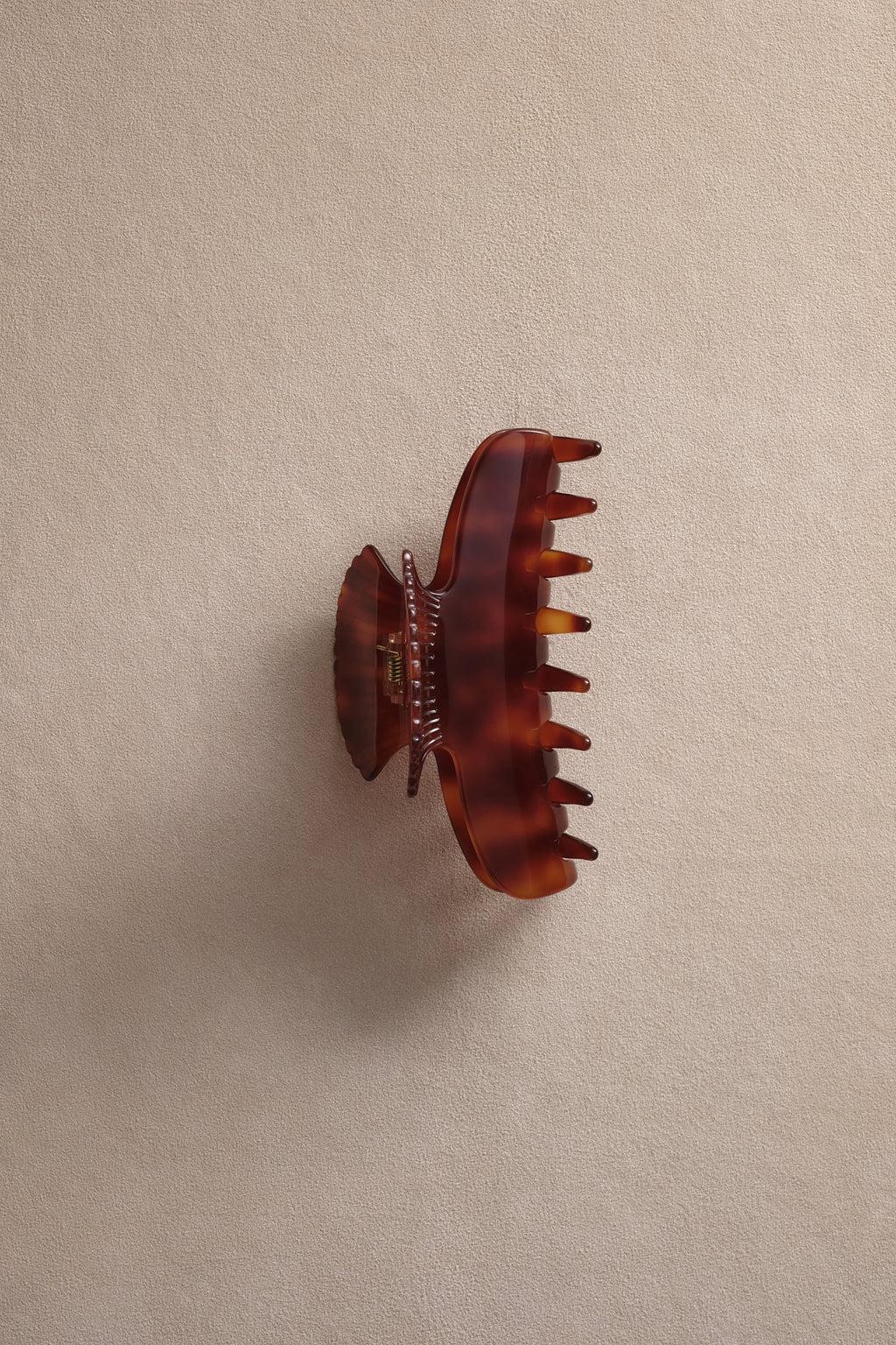 Fan Shell Claw | Sophie Buhai