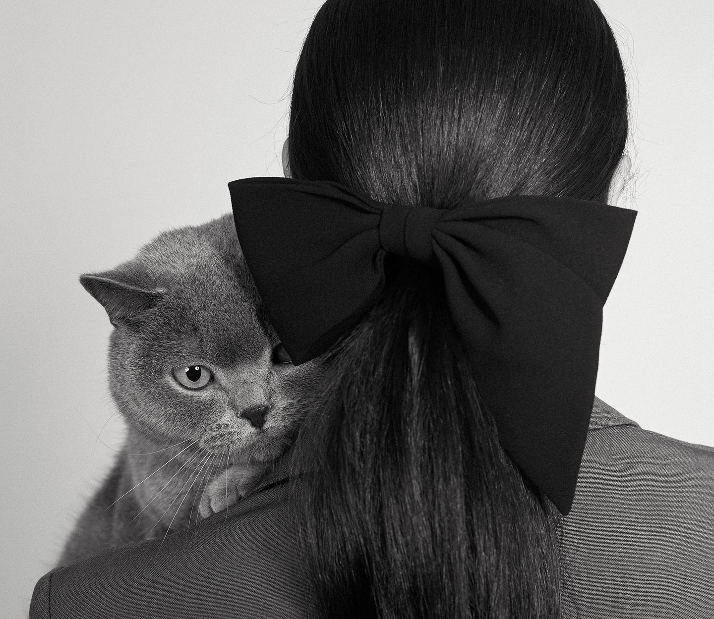 Asymmetrical Bow | Sophie Buhai